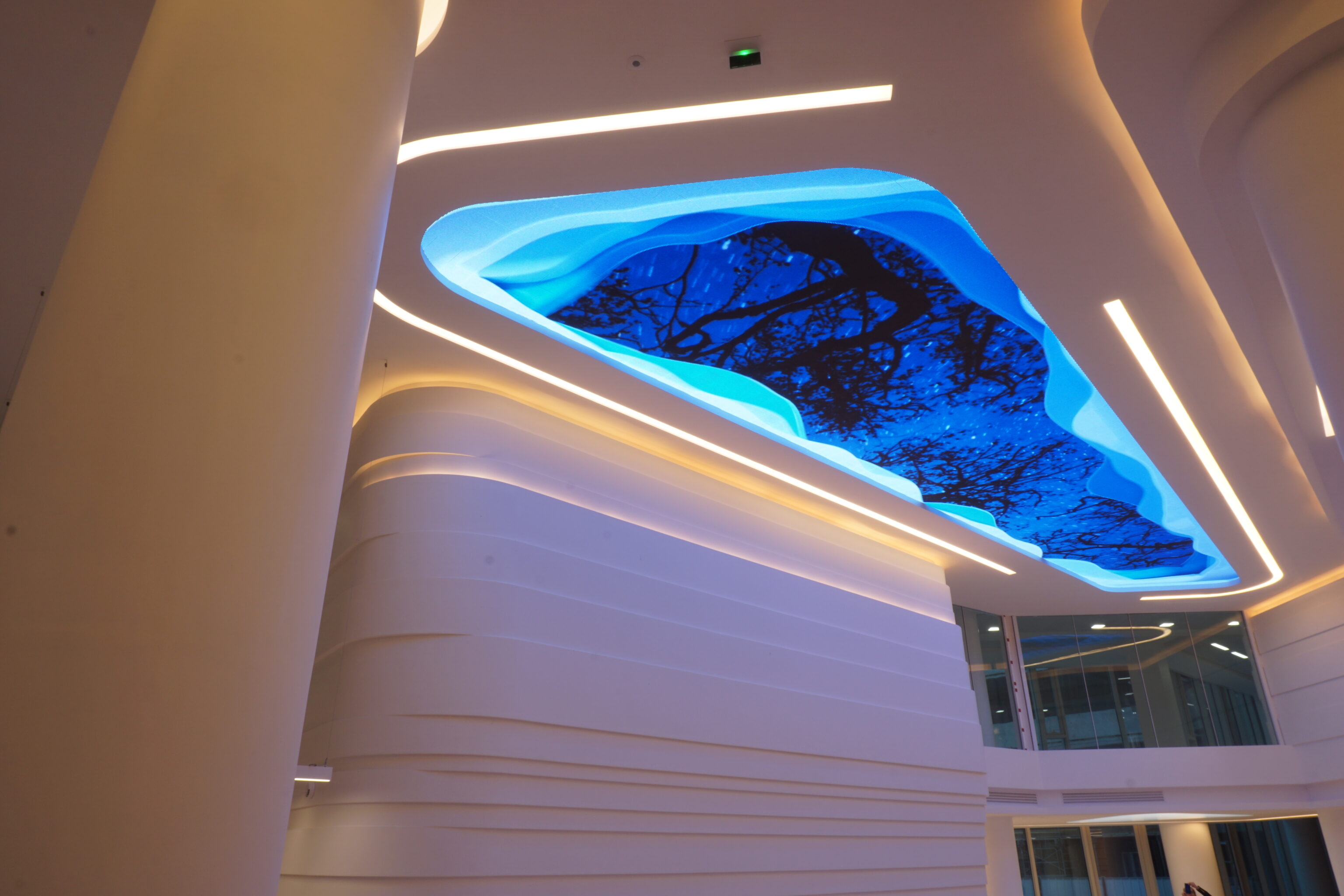 Explore the Visual Excellence of Special LED Screens with FlexLedLight ...